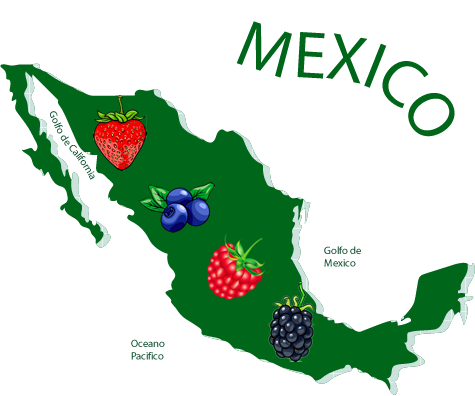 Gray Mexico Map - (475x396) Png Clipart Download