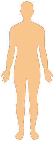 Clip Art Black And White Human Body Man - Human Body Png - Full Size ...