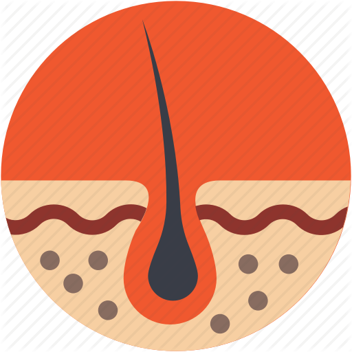 Dermatology Clipart Dermatology Allergy - Dermatology - (512x512) Png ...