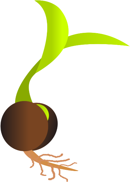 Sprouting Seed Germination Clip Art - Seed Png - (600x600) Png Clipart ...