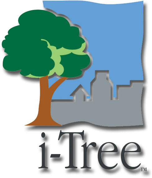 Helpful Tools - I-tree - (550x650) Png Clipart Download