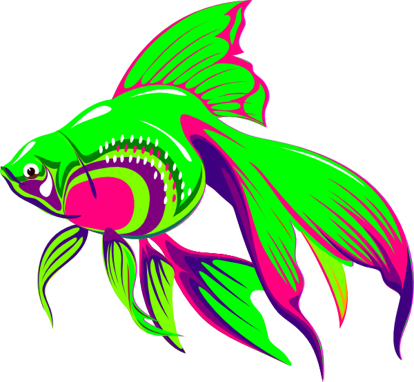 Goldfish Clipart Rainbow - Neon Fish Clip Art - Full Size PNG Clipart ...