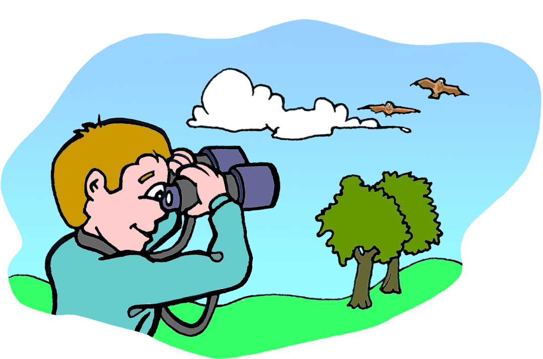 Bio Benefits Ology Science For Kids Drawing - Birds Flying Above The ...