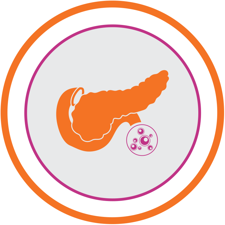 Pancreas Transplant - Pancreas Png - (750x750) Png Clipart Download