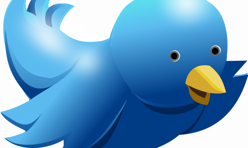 Computer Logo With Bird - (800x480) Png Clipart Download