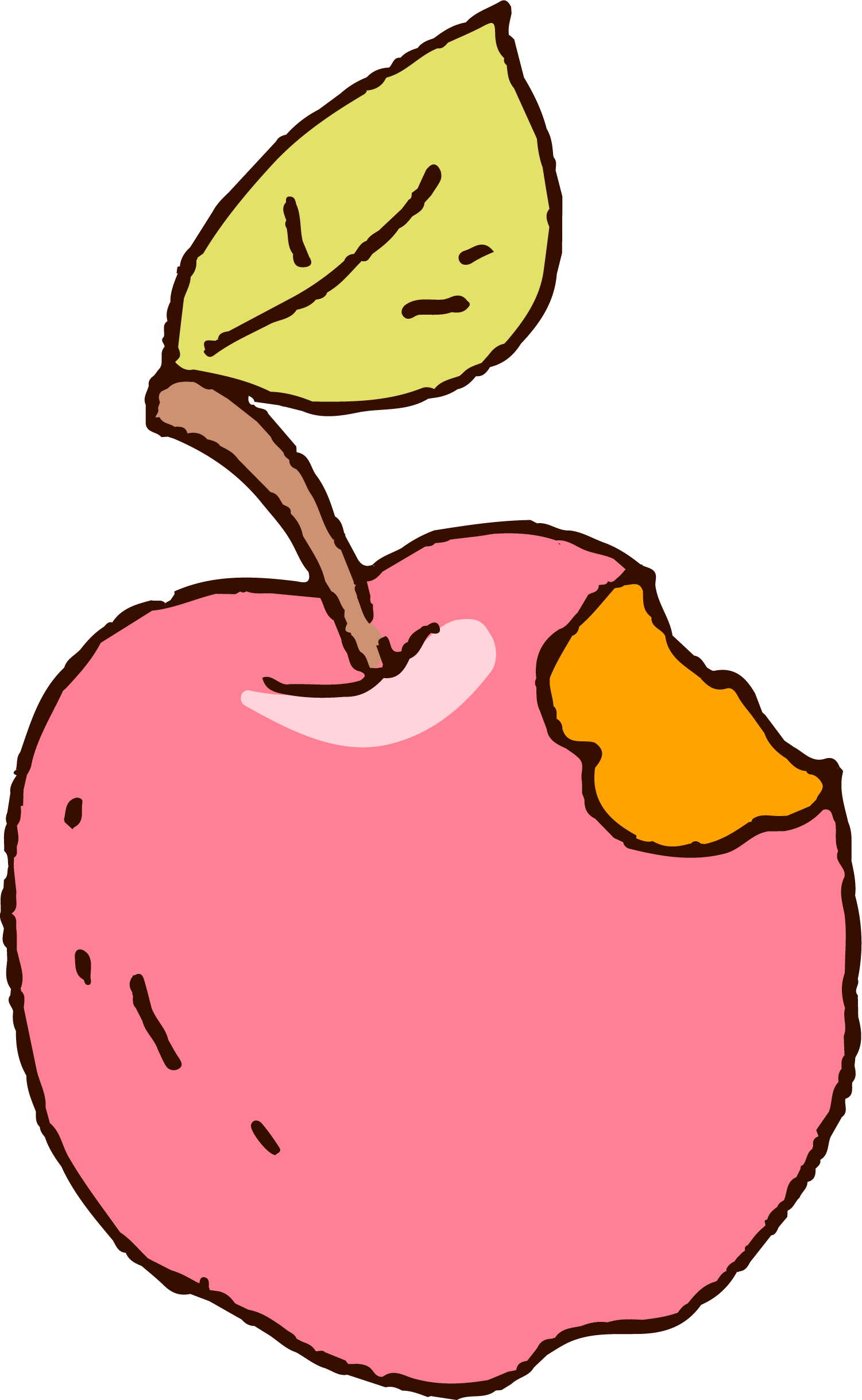 Apple Drawing Clip Art - Apple Png - (1501x2438) Png Clipart Download