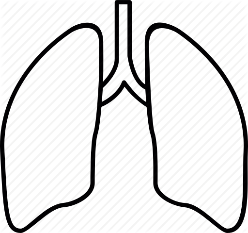 Clip Black And White Outline Huge - Simple Lungs Outline - Full Size PNG Clipart Images Download