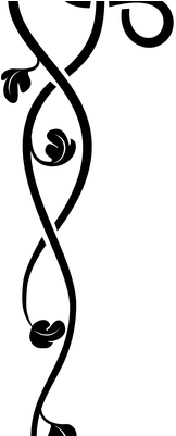 Ivy Clipart Divider - Corner Borders - (650x400) Png Clipart Download