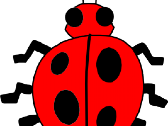 Insect Clipart Ladybug - Clipart Picture Of Bug - Full Size PNG Clipart ...