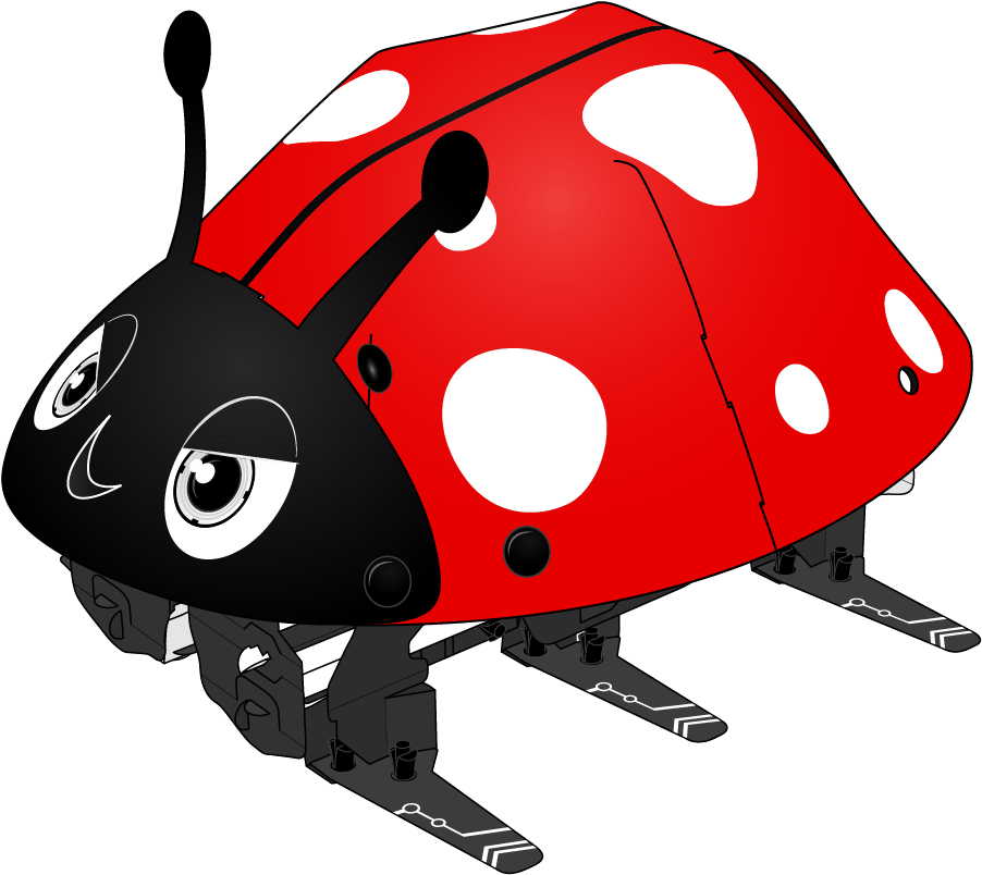 Ladybugs Clipart Body - Insect - (1275x1271) Png Clipart Download