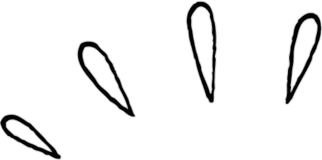 Doodle Line Png Png Free Library - Png Transparent - (1024x1024) Png ...