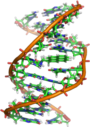 Damage - Familial Dna Searching - (320x443) Png Clipart Download