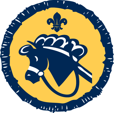 Beaver Badges - (400x397) Png Clipart Download