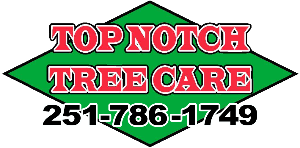 Top Notch Tree Care Vector Transparent Library - Top Notch Tree Care ...