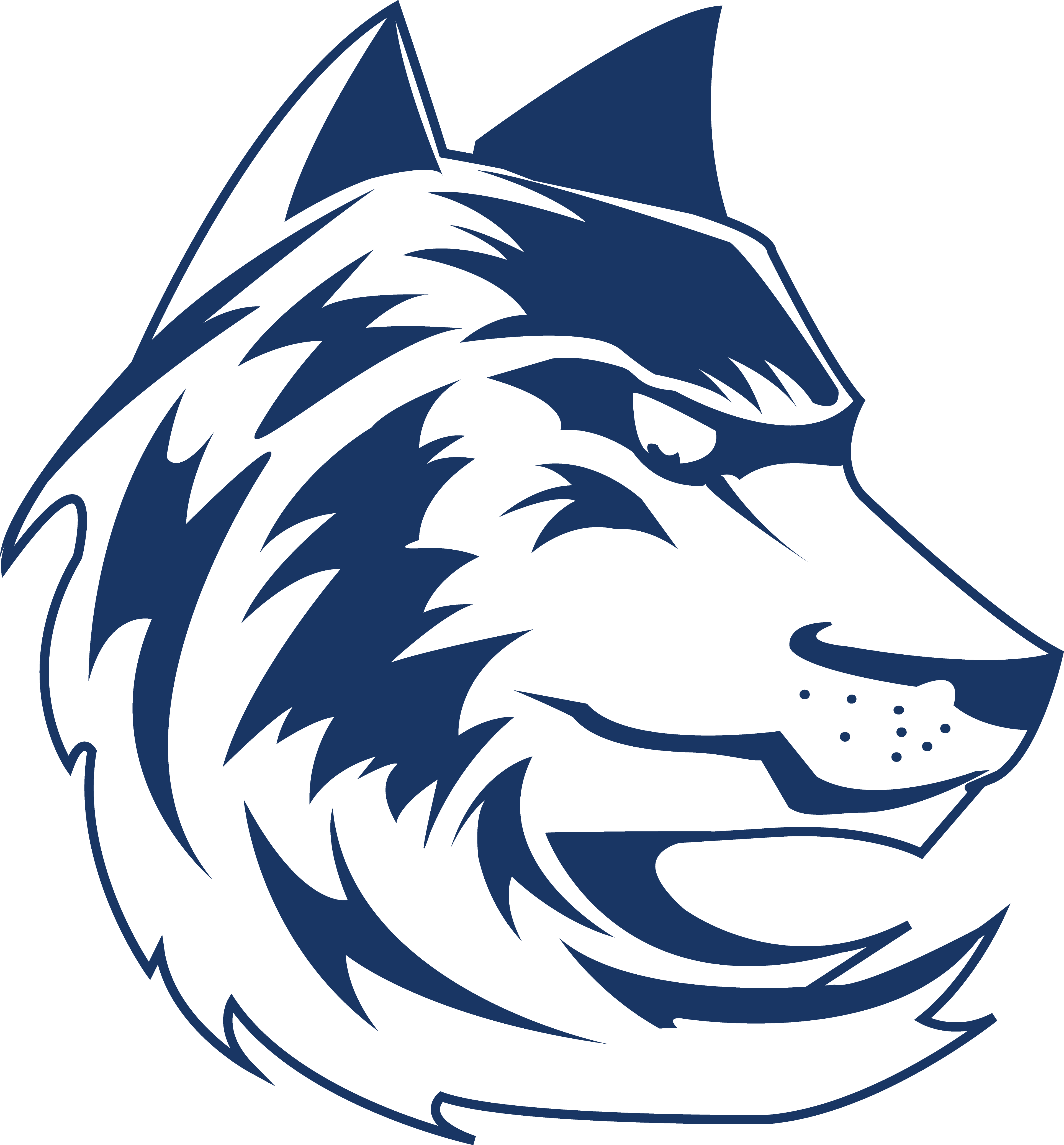 Mountain View High School Logo - Mt View High School El Paso Tx ...