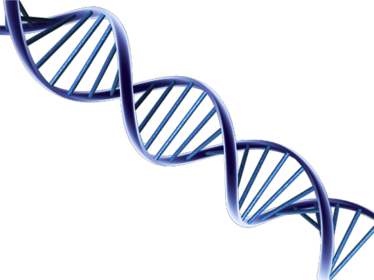 Dna Border Clipart - Dna Border Clipart - (540x405) Png Clipart Download