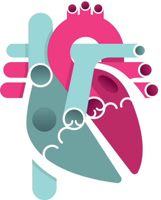 Heart Diagram - Heart Diagram - Full Size PNG Clipart Images Download