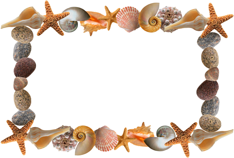 Seashell Borders Clip Art Transparent Images Gallery - Seashell Borders ...