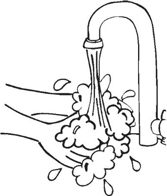 Wash Drawing Food Safety - Wash Drawing Food Safety - (349x405) Png ...