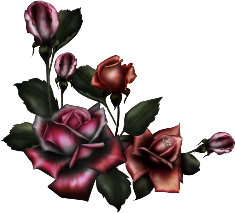 Gothic Rose Png Pic - Gothic Rose Png - (900x910) Png Clipart Download