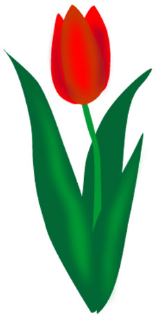 Tulip Clip Art - Spring Flowers Clip Art - Full Size PNG Clipart Images ...