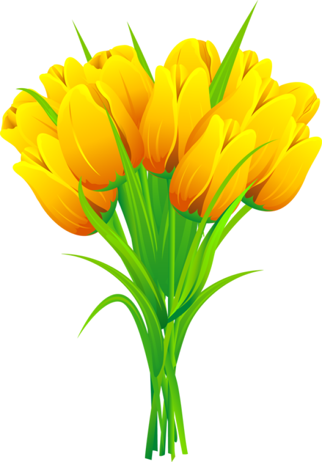 Image - Spring Tulip Clip Art - (640x918) Png Clipart Download
