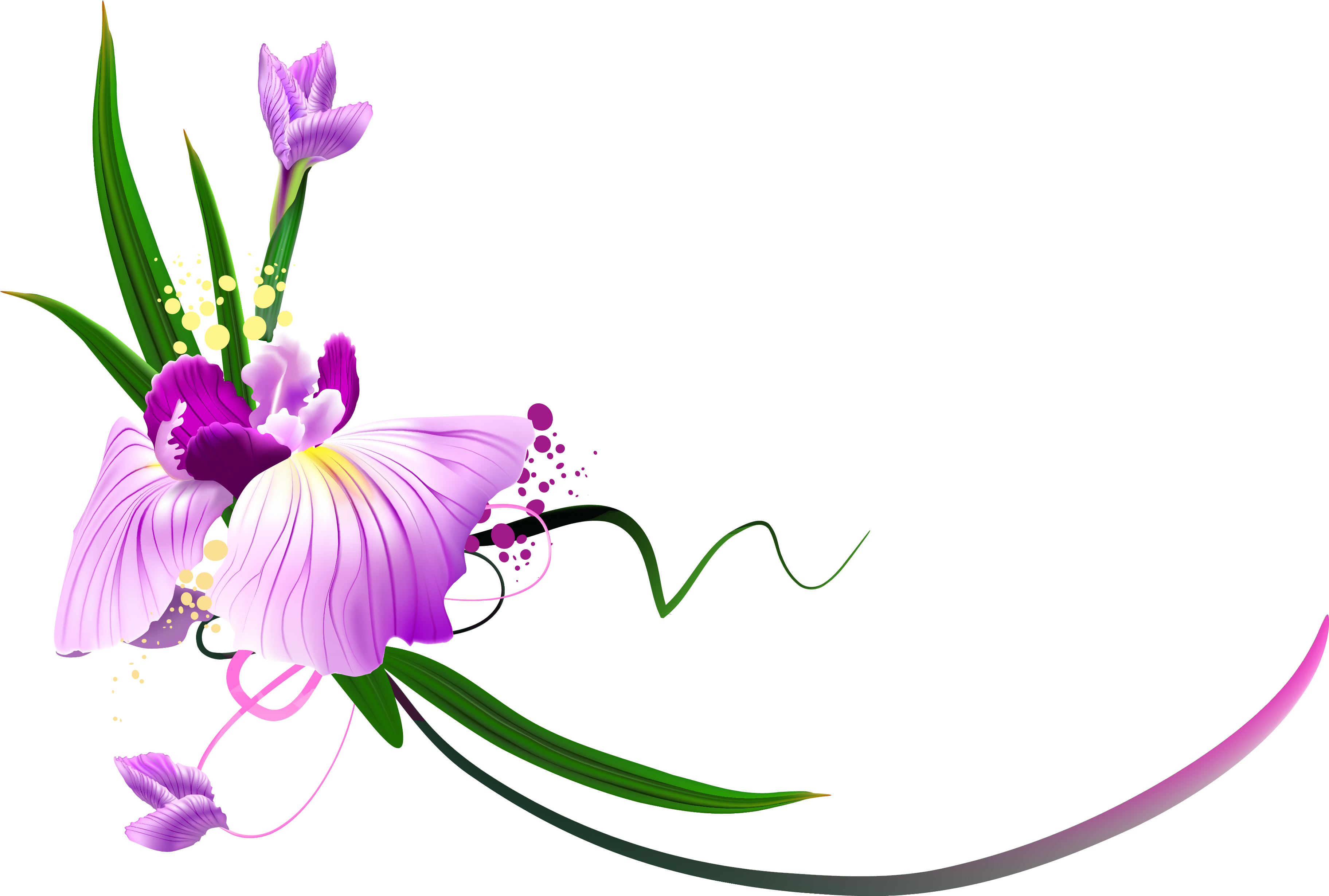 Pink Border Clipart Download - Sympathy Card For Loss Of Father ...