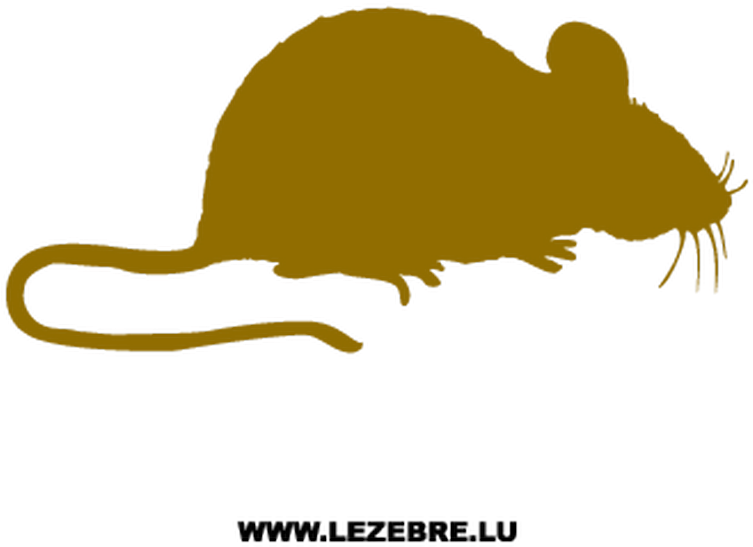 Autocollant Rat Png Rat Decal - Autocollant Rat Png Rat Decal - Full ...