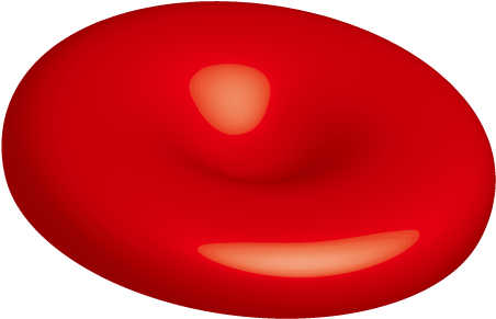 Red Blood Cell - Red Blood Cell - Full Size PNG Clipart Images Download