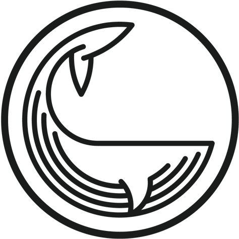 Flying Fish - Flying Fish - (511x512) Png Clipart Download