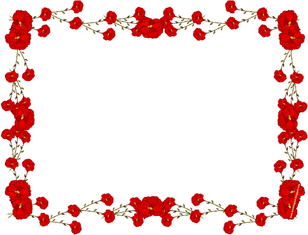 Carnation Clipart Border - Red Flower Frame Png - Full Size PNG Clipart Images Download