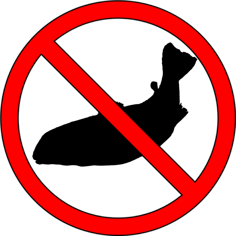 10 Marine Species That Need Protecting - Do Not Respond - (1007x1000 ...