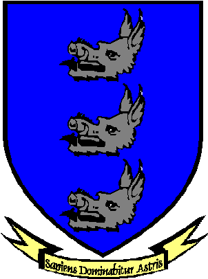 Pin Family Crest Clip Art - Crotty Family Crest - (304x414) Png Clipart ...