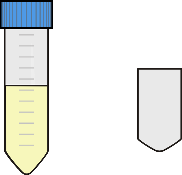 Tube Falcon 50 Ml - (600x576) Png Clipart Download