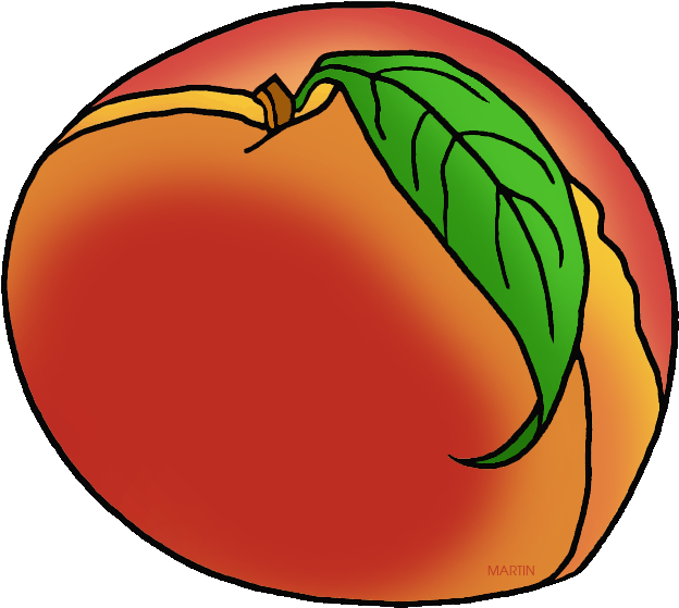 Georgia State Fruit - Clip Art - Full Size PNG Clipart Images Download