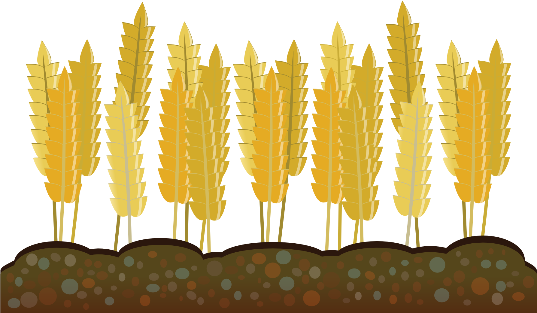 Crops Clipart - Clipart Crops - (1969x1969) Png Clipart Download