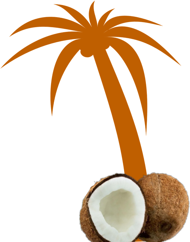Mq Orange Palmtree Palm Coconut Palm Tree Clip Art Full Size Png Clipart Images Download
