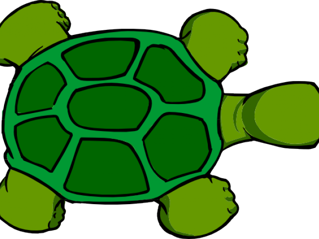 Tortoise Clipart Top View - Cartoon Turtle Shell - (640x480) Png ...