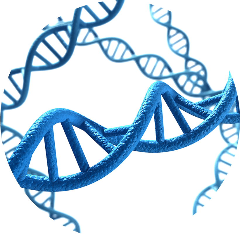 Overview - Overview - (840x840) Png Clipart Download