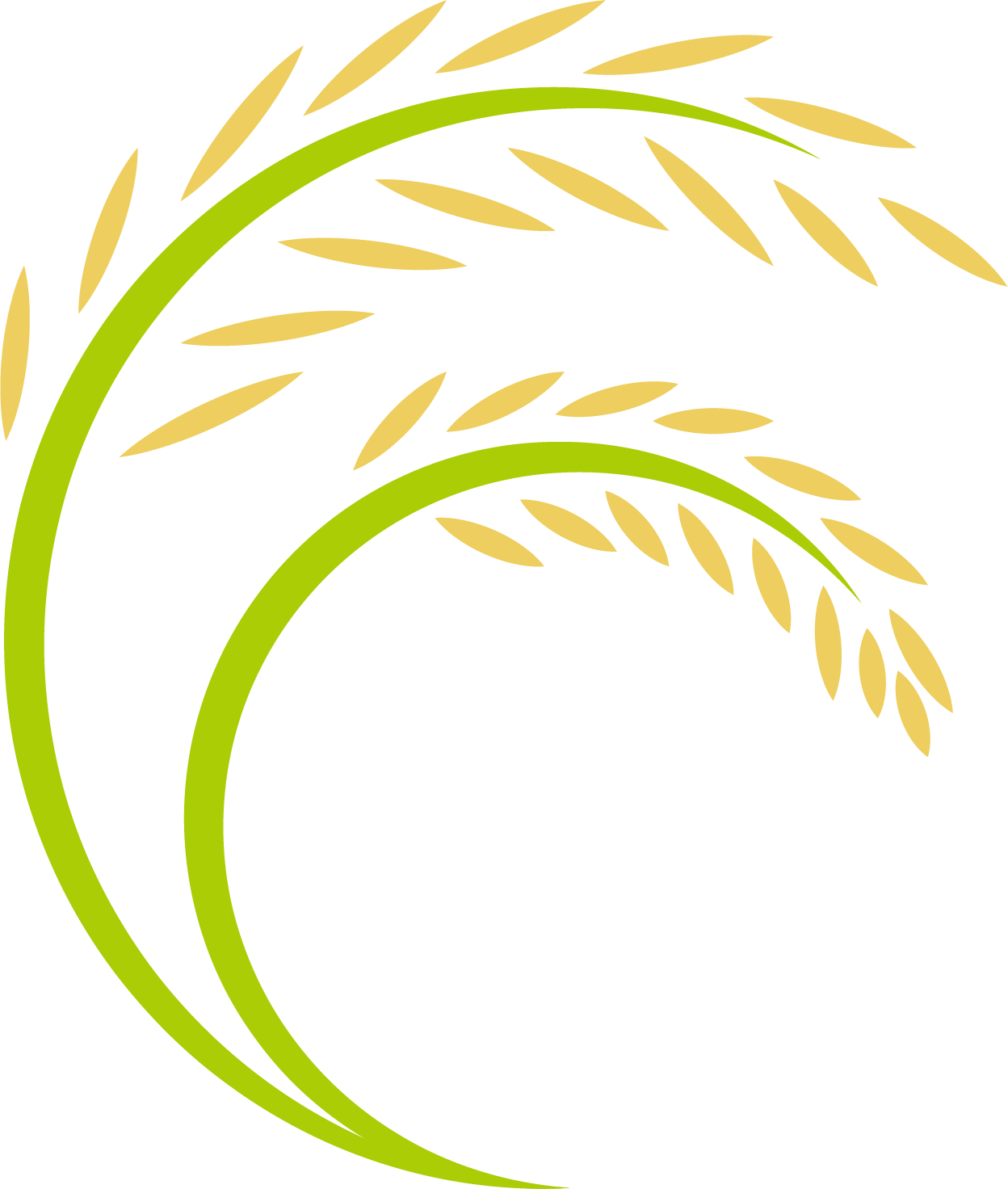 Harvest Vector Paddy - Paddy Logo - Full Size PNG Clipart Images Download
