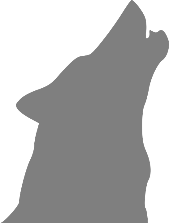 Wolf Head Outline Howling - (546x720) Png Clipart Download