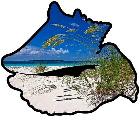 Conch - Map - (513x512) Png Clipart Download