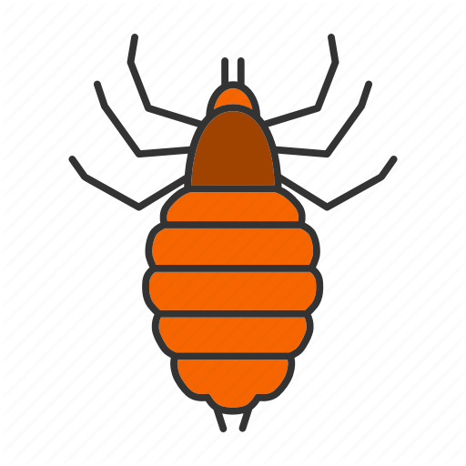 512 X 512 2 - Louse - (512x512) Png Clipart Download