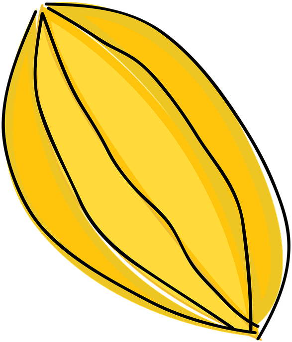 Fruit Cartoon Pictures - Buah Belimbing Kartun - (691x720) Png Clipart ...