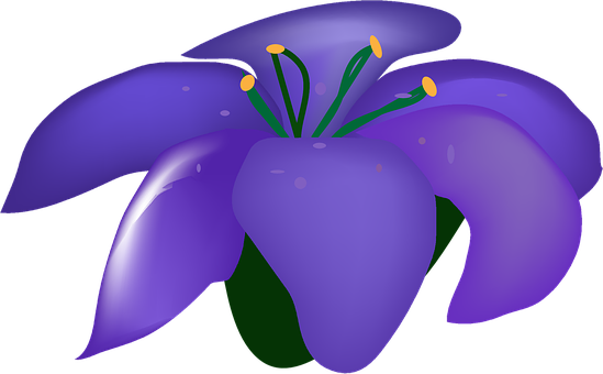 Flower, Violet, Bloom, Plant - Flor Violeta Vector - (549x340) Png ...