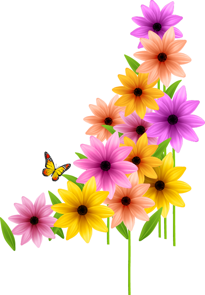 Flowers Color Clipart Flowersclip - Good Morning Beautiful Flowers ...