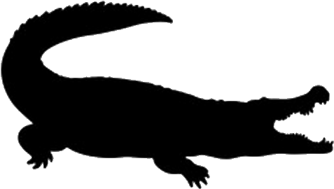 500 X 500 10 Silhouette Clip Art Alligator Svg Full Size Png 8445