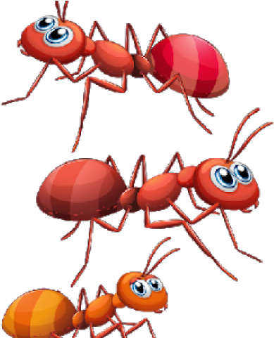Ants Clipart Little Red - Ants Cartoon Png - (640x480) Png Clipart Download