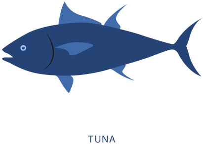 Tuna Fish Fishing Animal Png - Tuna Fish Vector Png - (512x512) Png ...
