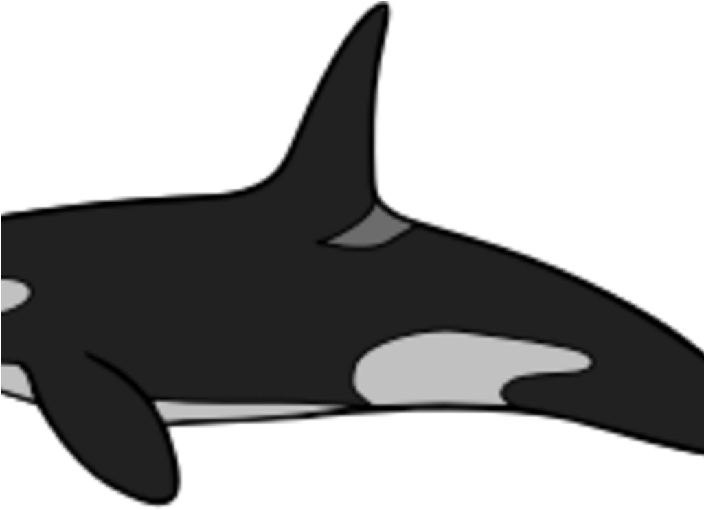 Frightening Shamu Clipart Whale Coloring Book Killer - Killer Whale ...